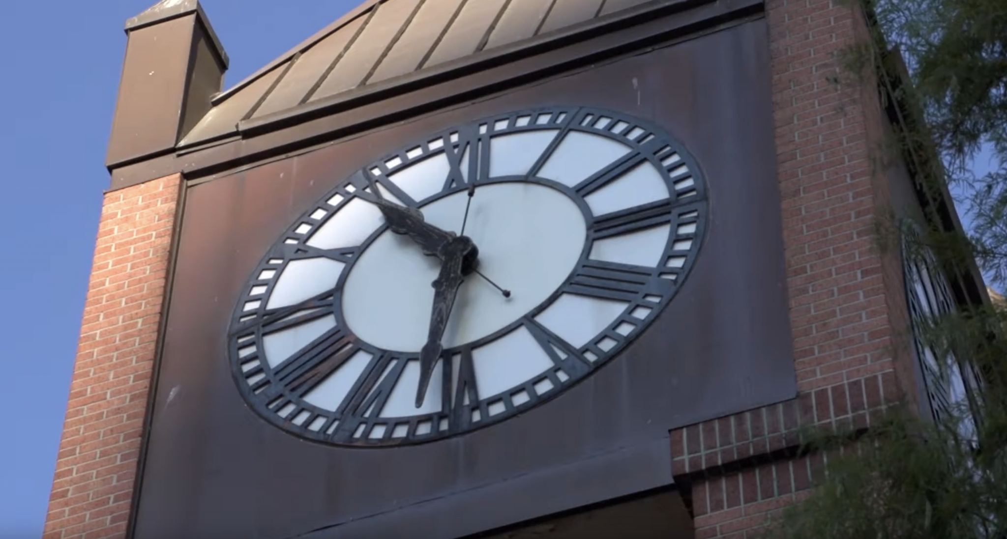 SELECTED WORKS – Chapman Welch